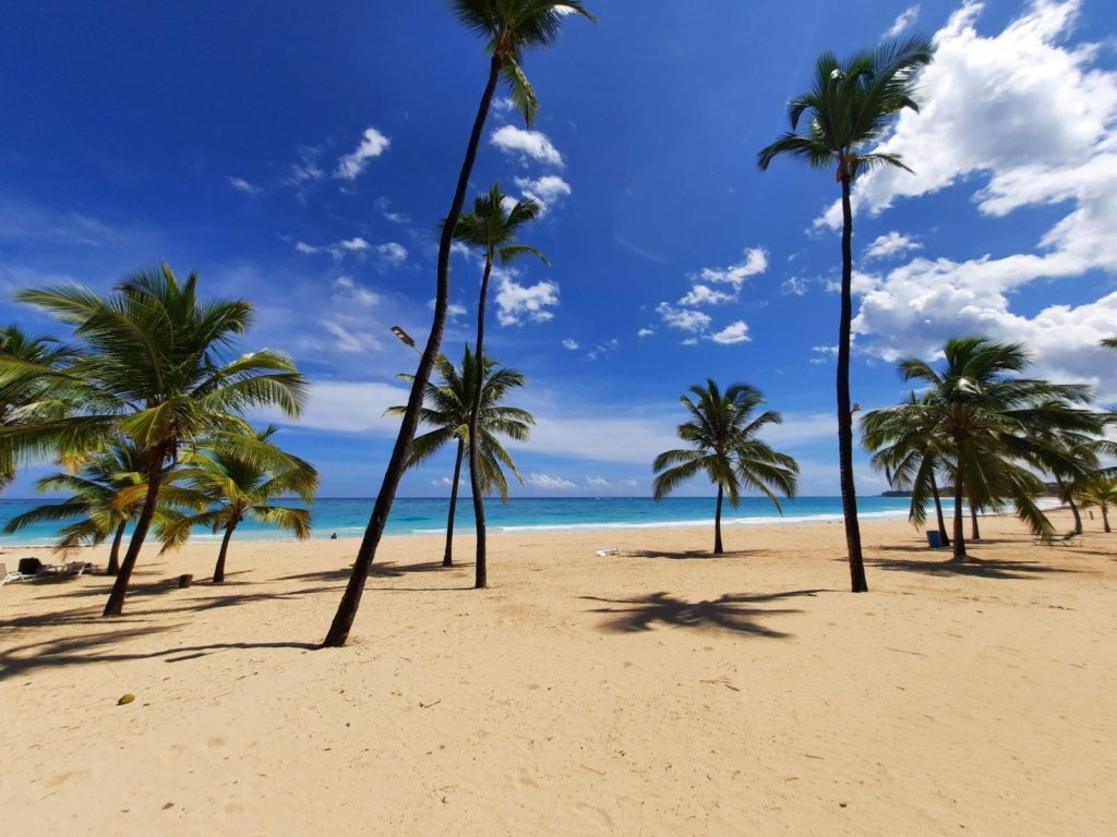 White Sands Archives - Point 2 Dominicana